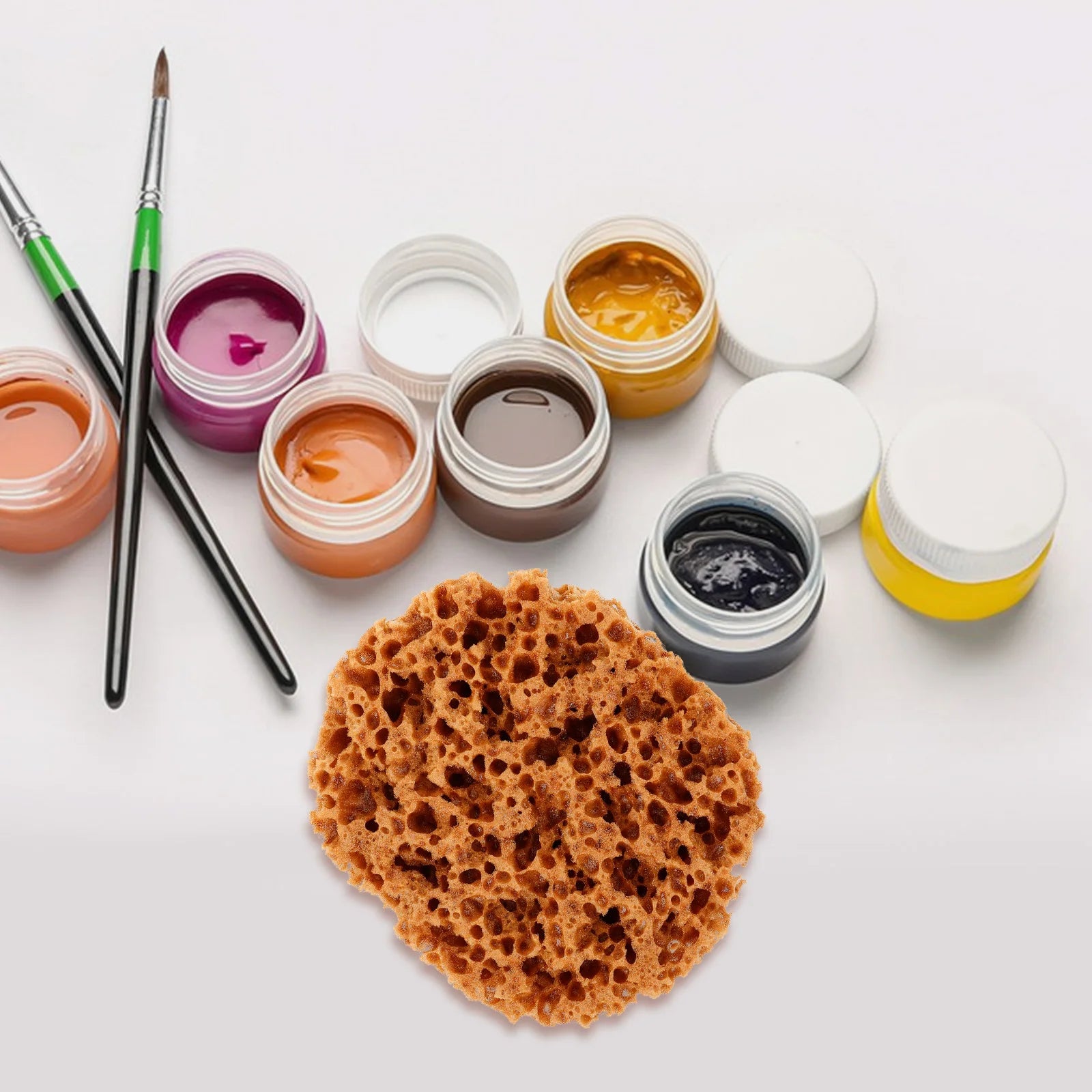 AquaTex – Reusable Sea Sponge for Painting – The SKU List